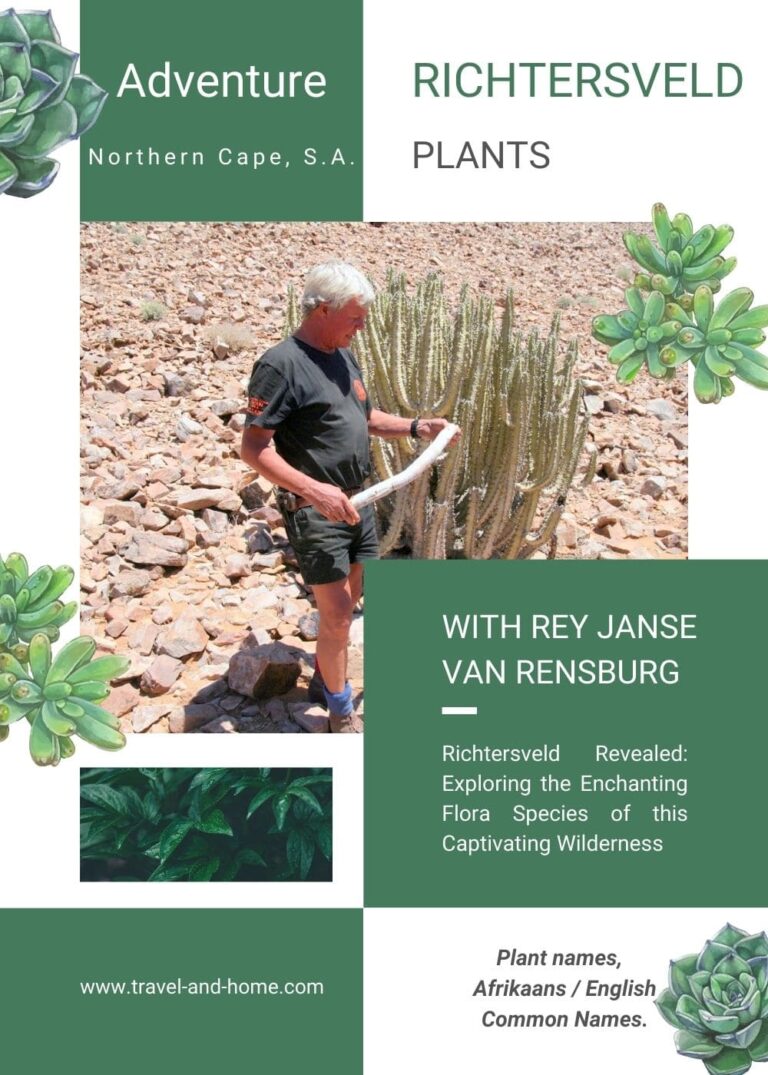 Richtersveld With Rey Janse Van Rensburg: The Ultimate Adventure In Namaqualand - TRAVEL AND HOME