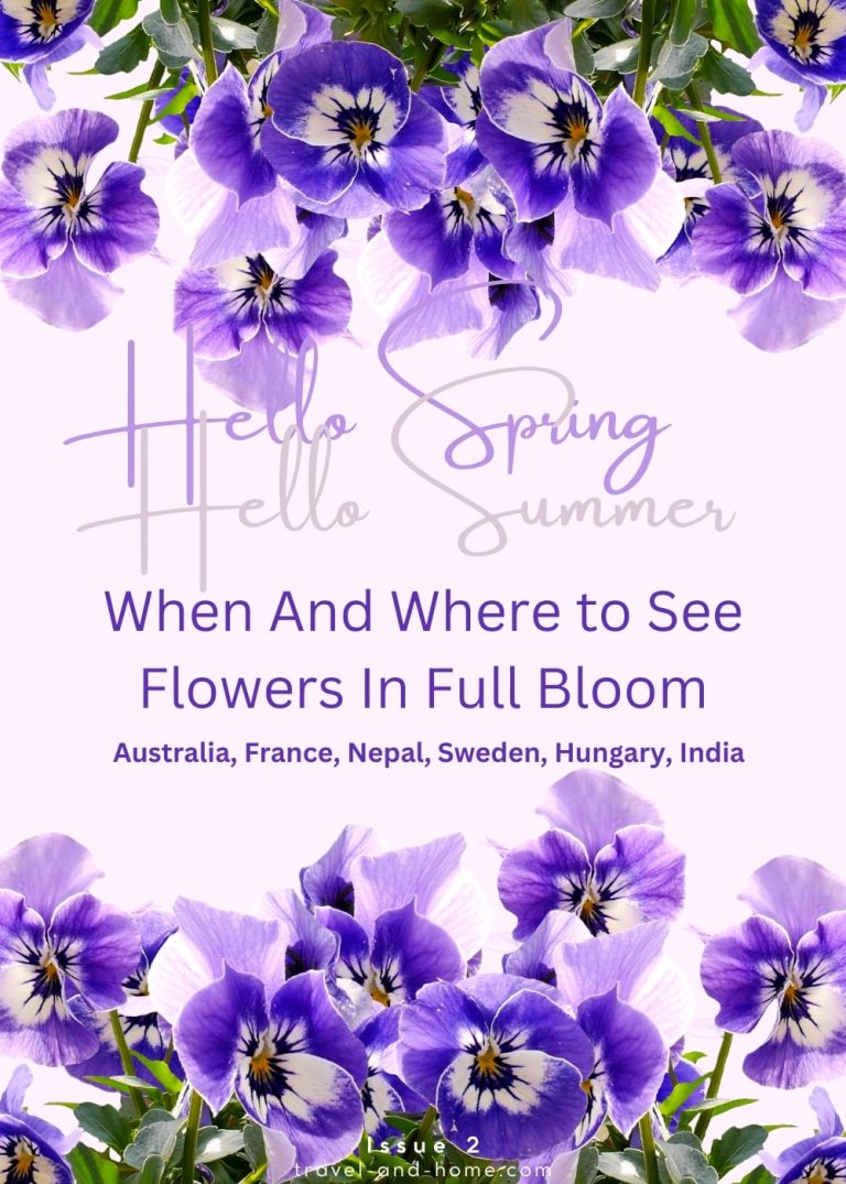 Where To Find Beautiful Flowers In Australia, France, Nepal, Sweden ...